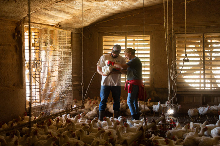 Rural Land Bank & Agricultural Lender | Southern AgCredit